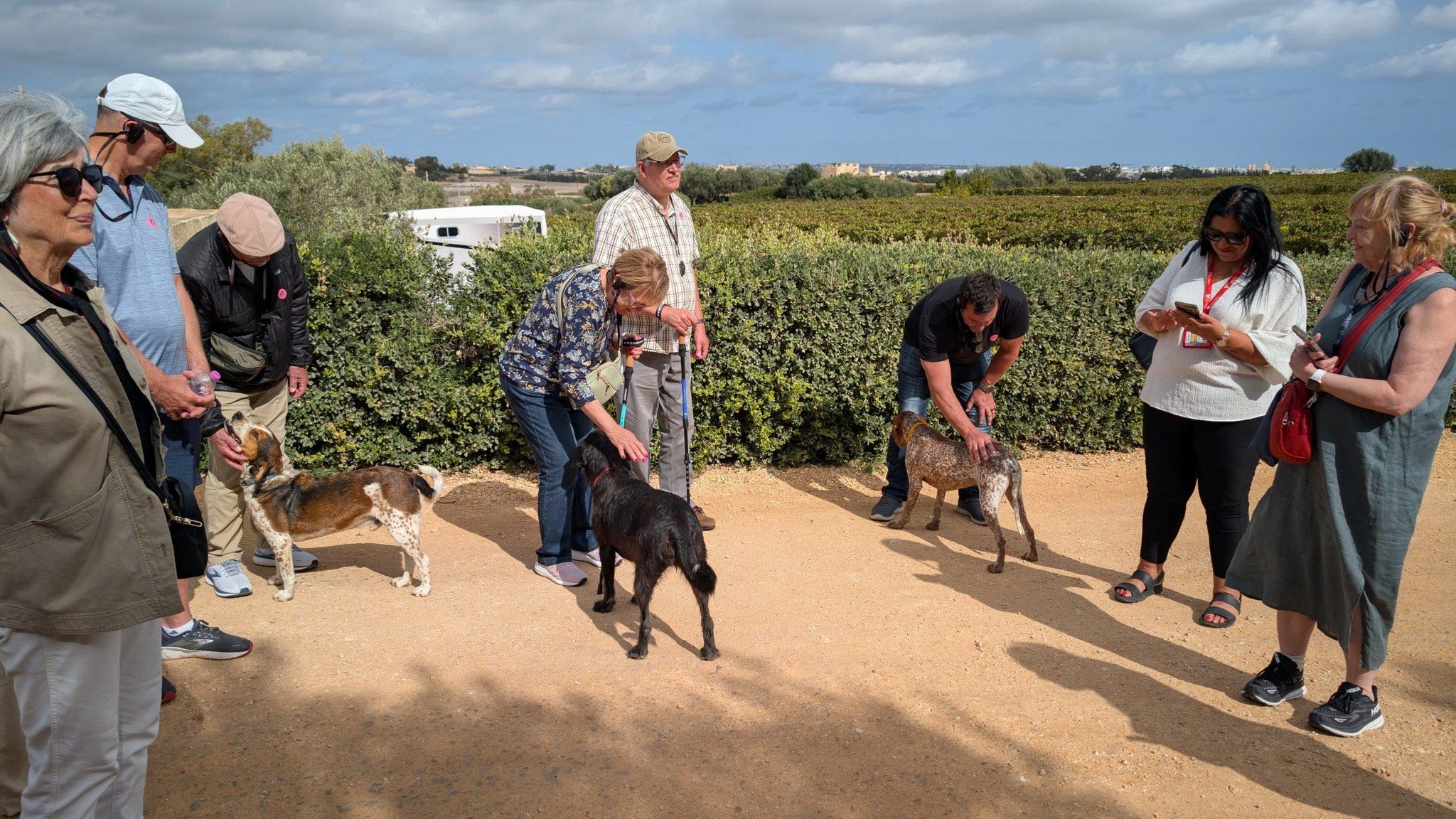 Discovering Maltese Heritage in Every Sip: Wine Tasting at Ta’ Betta ...