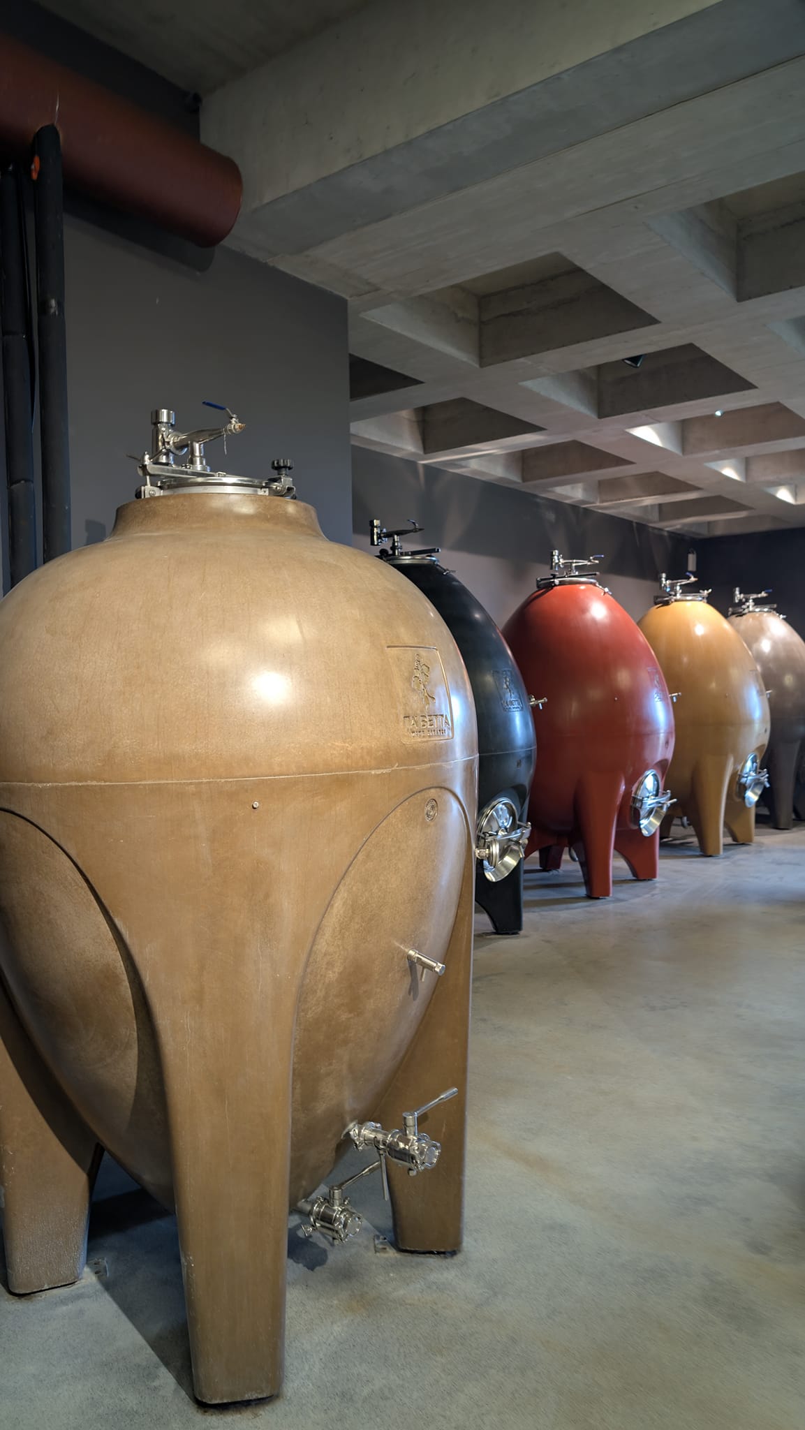 Discovering Maltese Heritage in Every Sip: Wine Tasting at Ta’ Betta ...